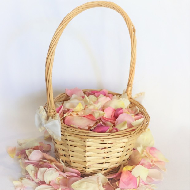 Baby Pink and cream freeze dried rose petals