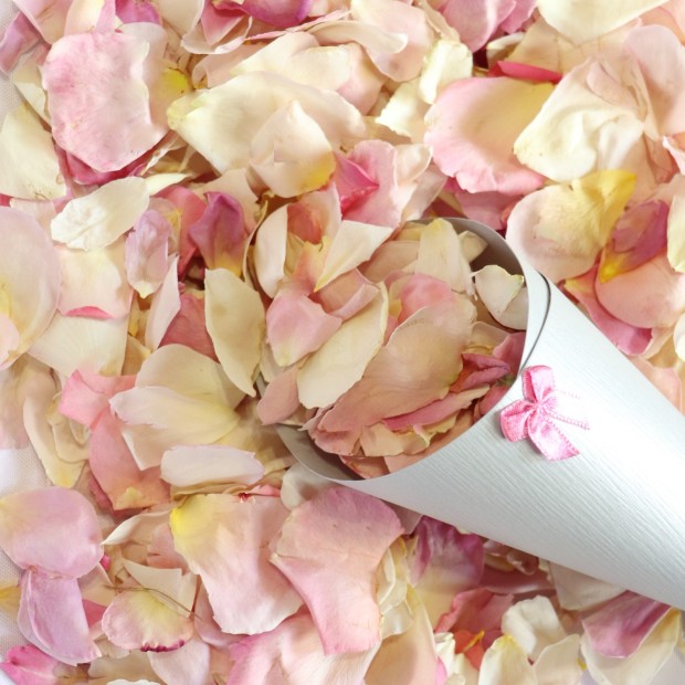 Baby Pink and cream freeze dried rose petals